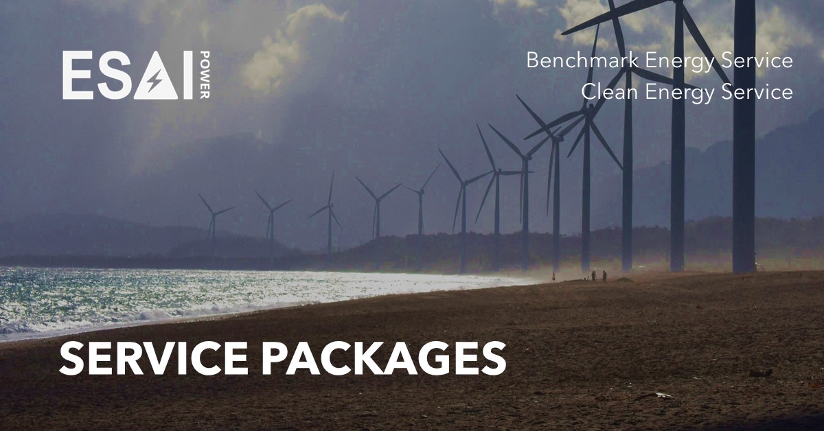Service Packages | Market Research | ESAI Power LLC