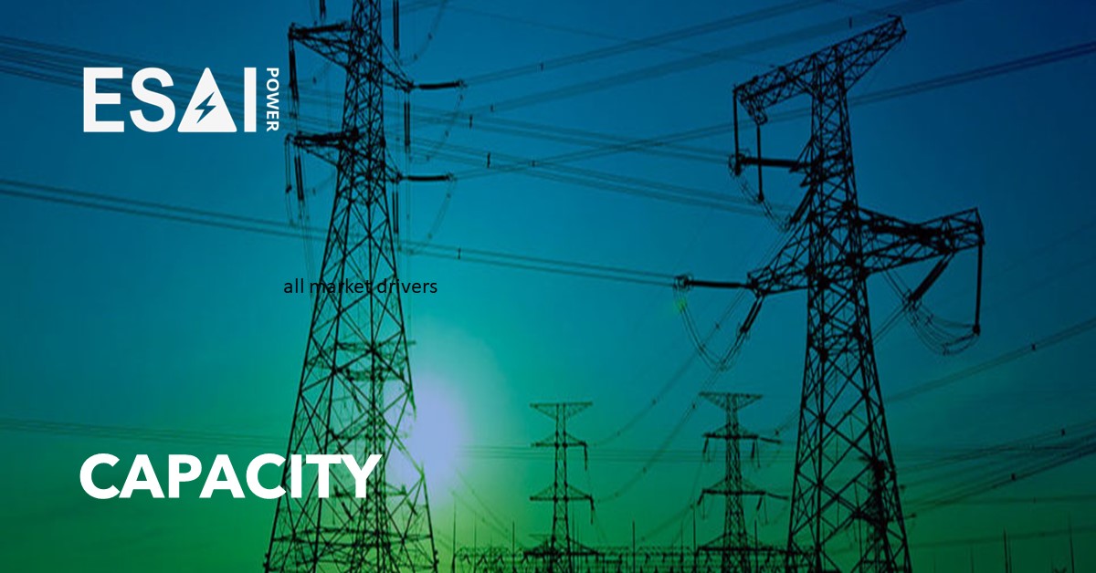 Capacity | Products | ESAI Power LLC